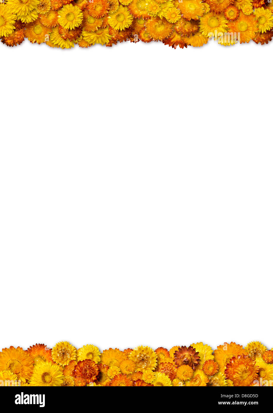 Orange cluster flowers hi-res stock photography and images - Alamy