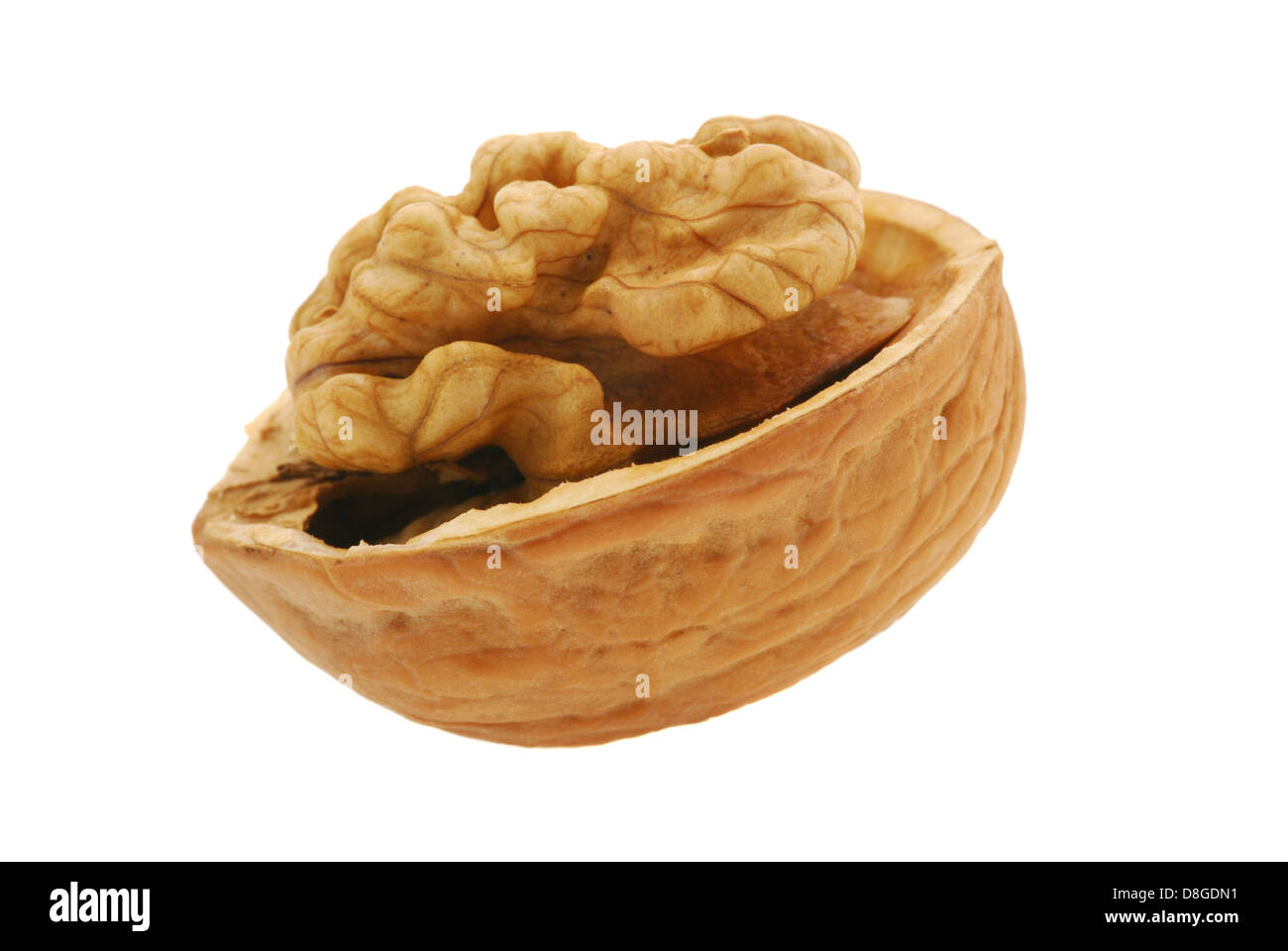 Open walnut hi-res stock photography and images - Alamy