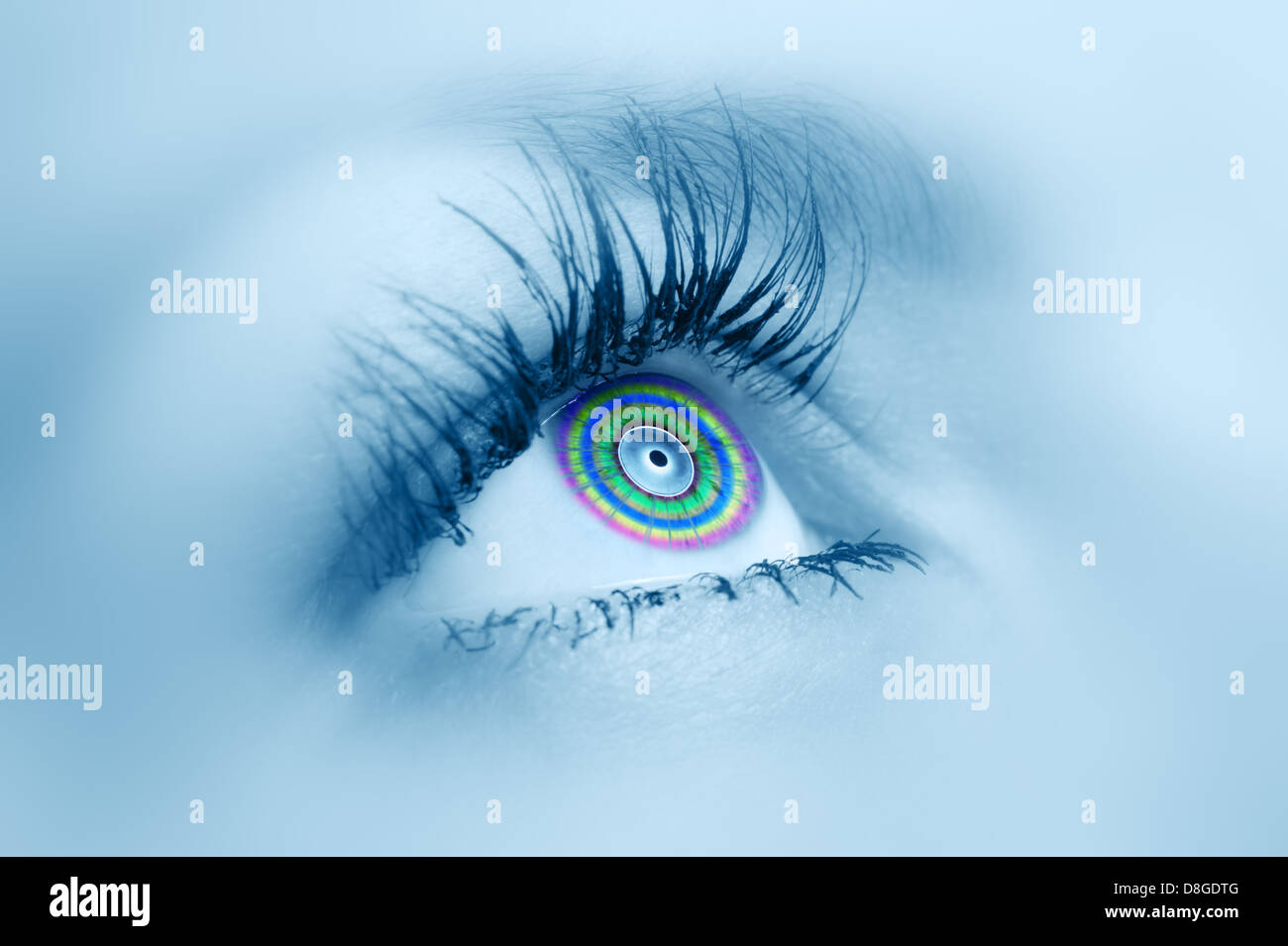 Female eye close up. A color pupil Stock Photo - Alamy