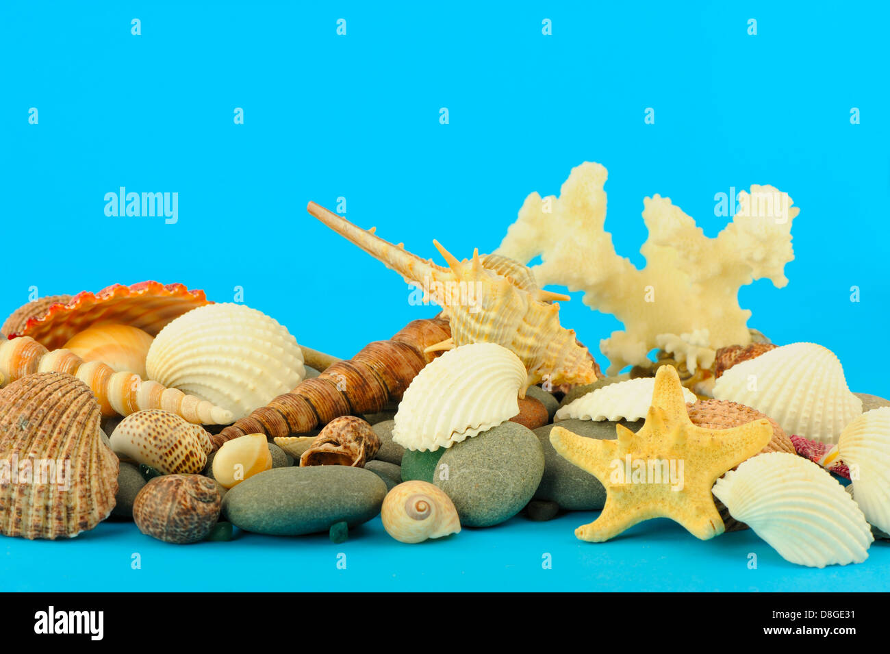 Set of objects of the sea underwater world Stock Photo - Alamy