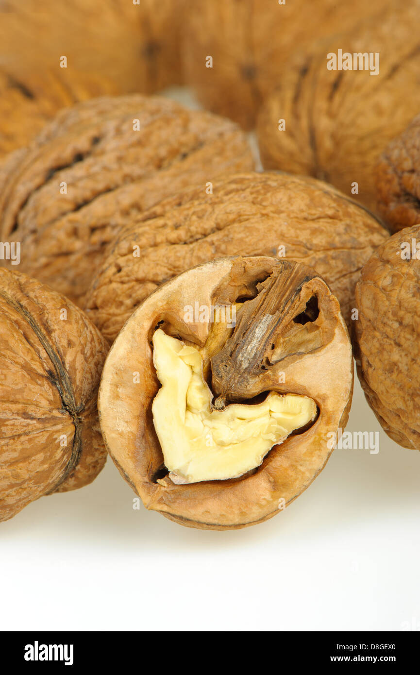 Split nut hi-res stock photography and images - Alamy