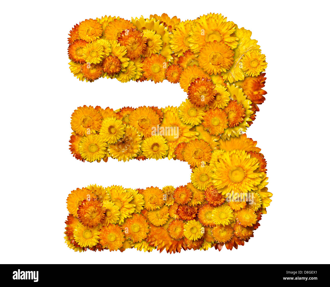 Alphabet from yellow and orange flowers Stock Photo - Alamy