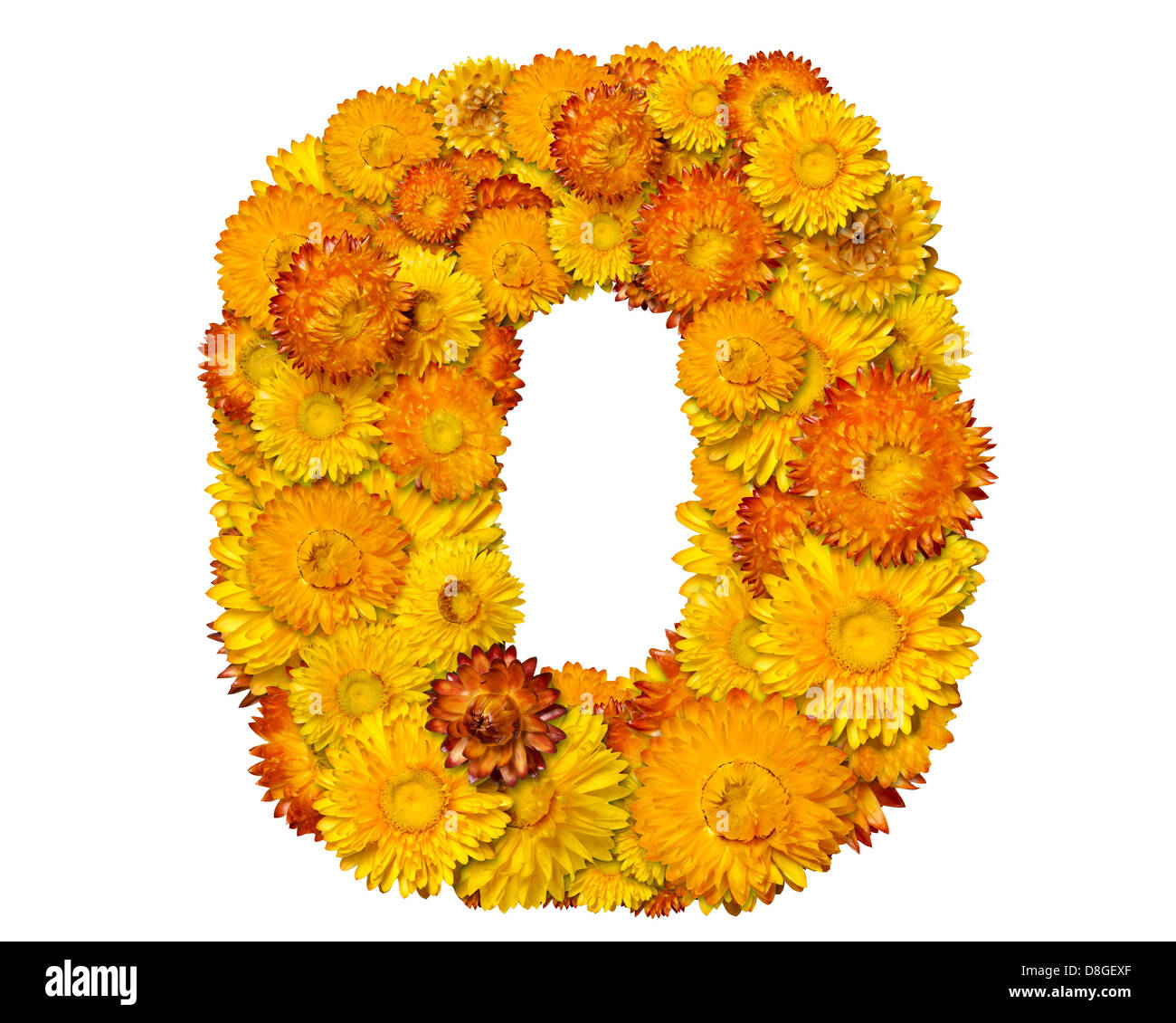 Alphabet from yellow and orange flowers Stock Photo - Alamy