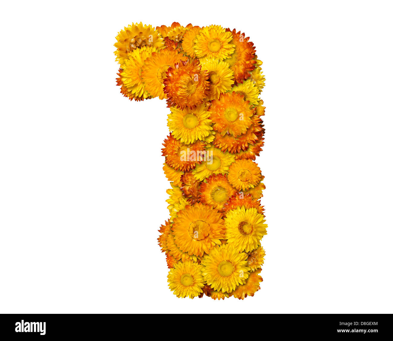 Alphabet from yellow and orange flowers Stock Photo - Alamy