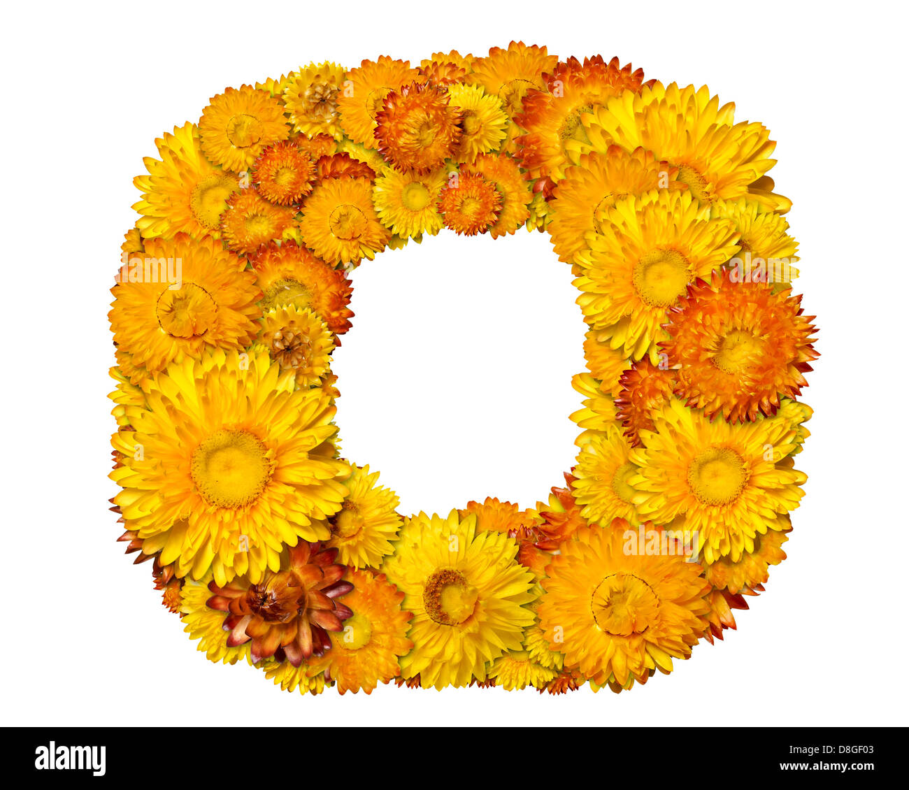 Alphabet from yellow and orange flowers Stock Photo - Alamy