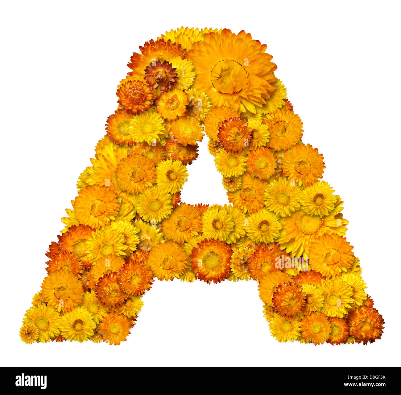 Alphabet from yellow and orange flowers Stock Photo - Alamy