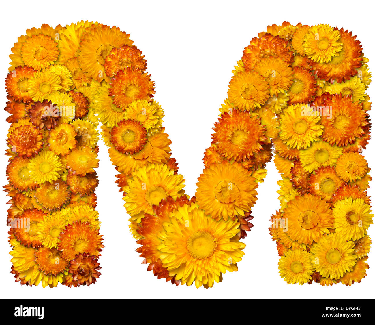 Alphabet plants design hi-res stock photography and images - Alamy