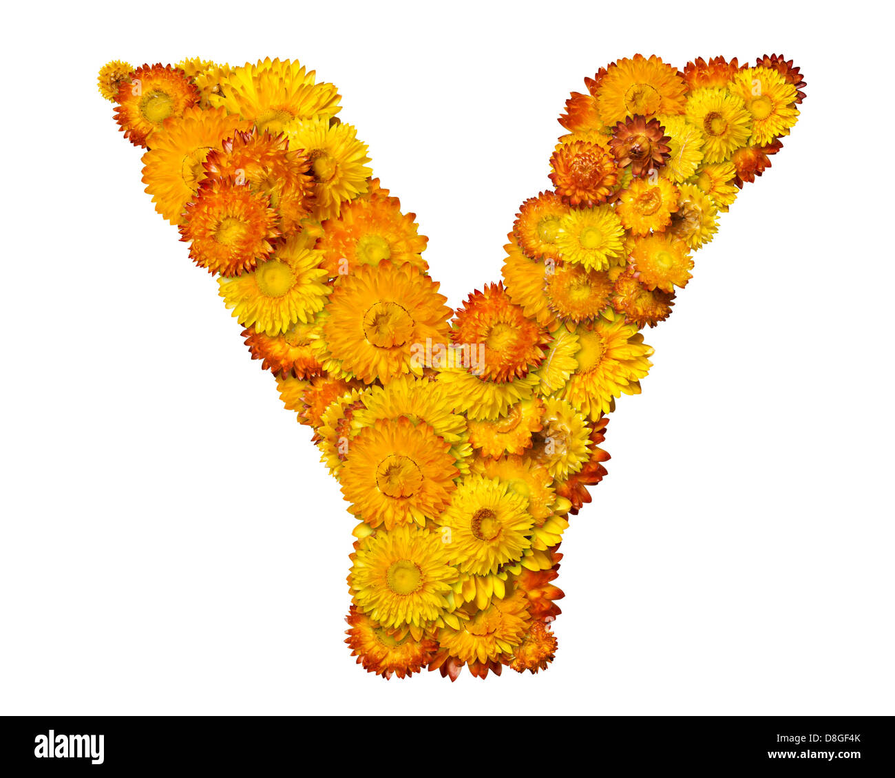 Alphabet plants design hi-res stock photography and images - Alamy