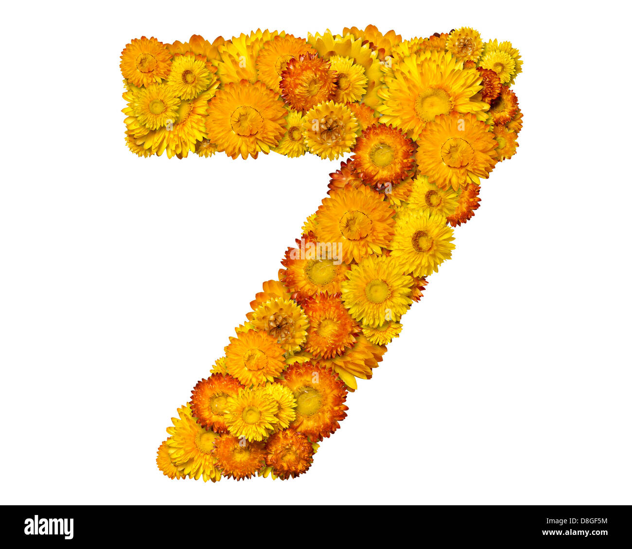 Alphabet from yellow flowers isolated hi-res stock photography and ...