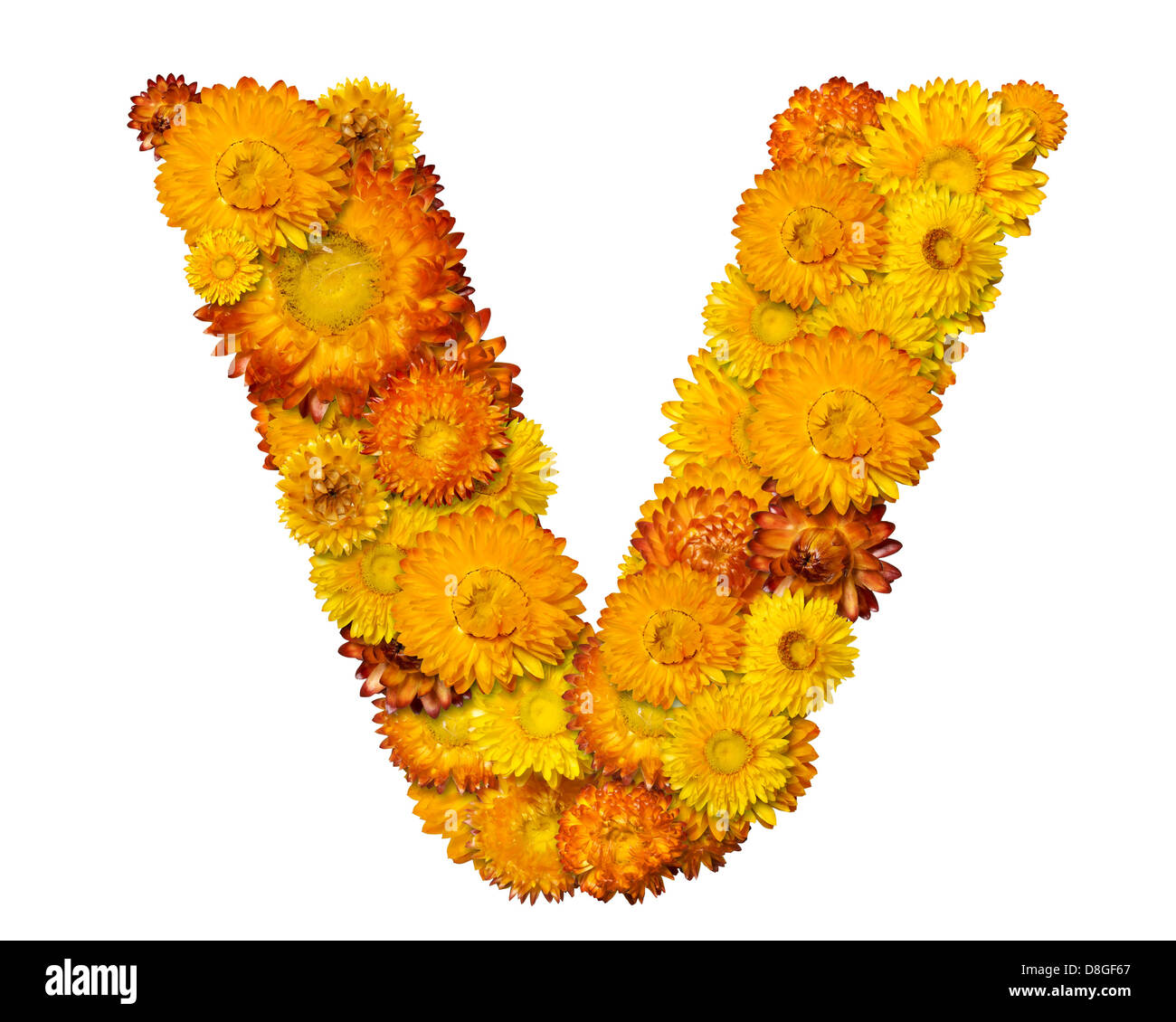 Alphabet from yellow and orange flowers Stock Photo - Alamy