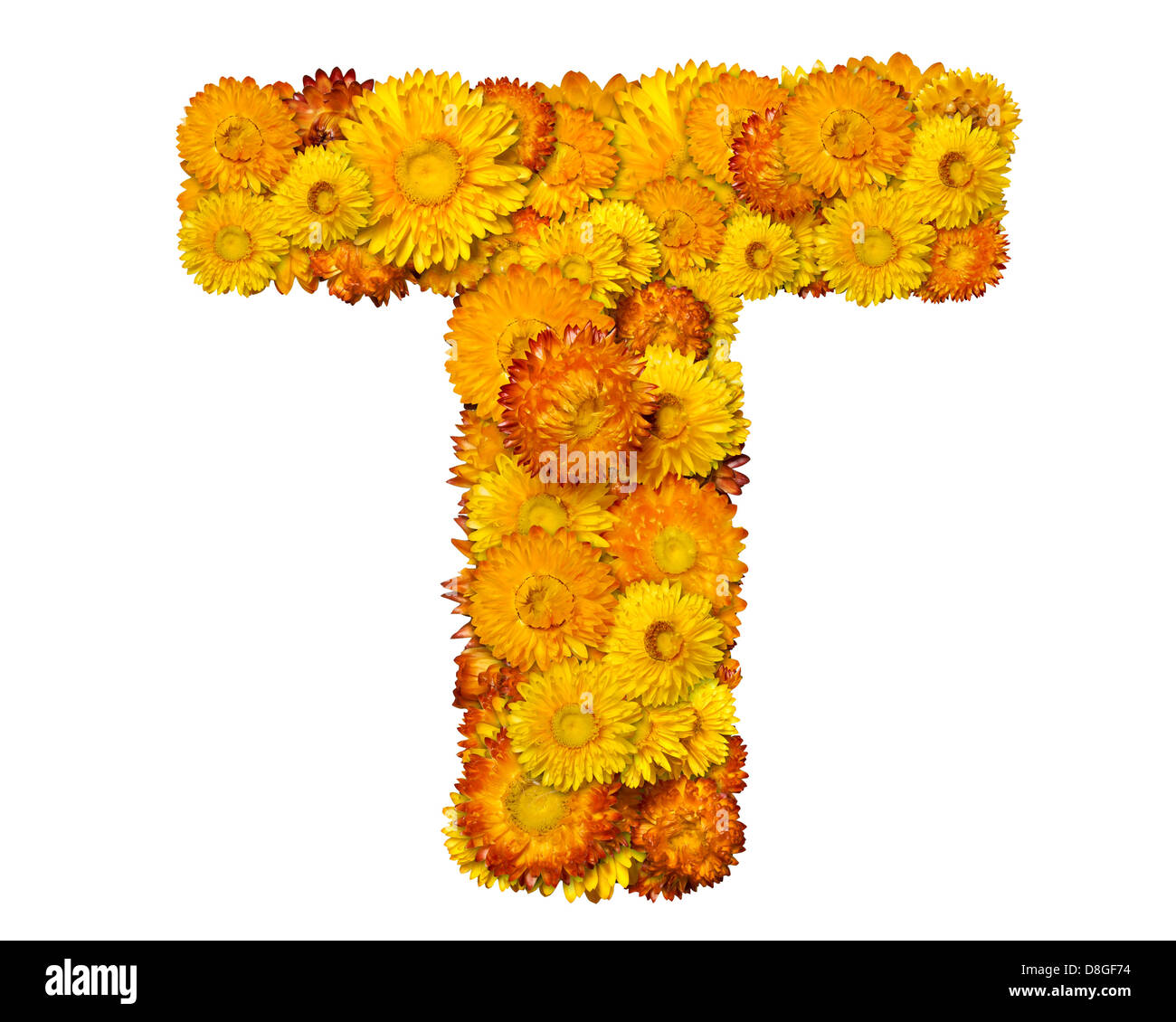 Alphabet from yellow and orange flowers Stock Photo - Alamy