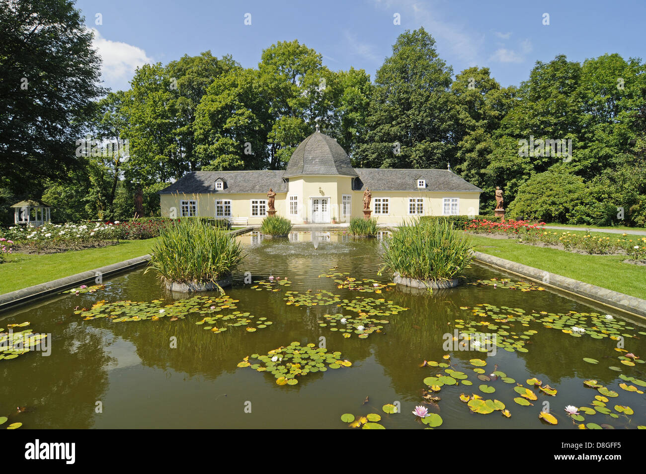 Water Lily Pond Stock Photo - Alamy