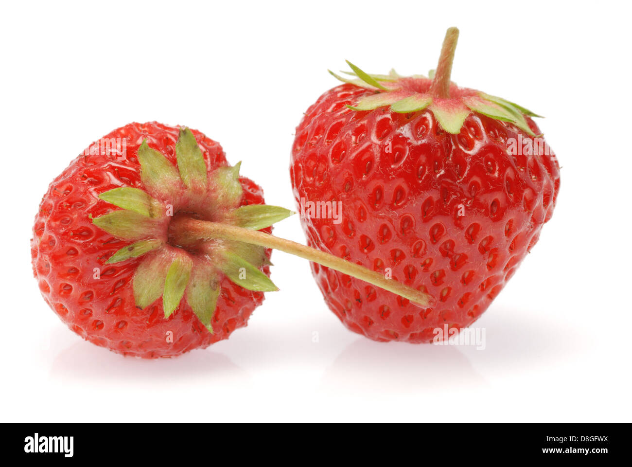 Foreground two Cut Out Stock Images & Pictures - Alamy