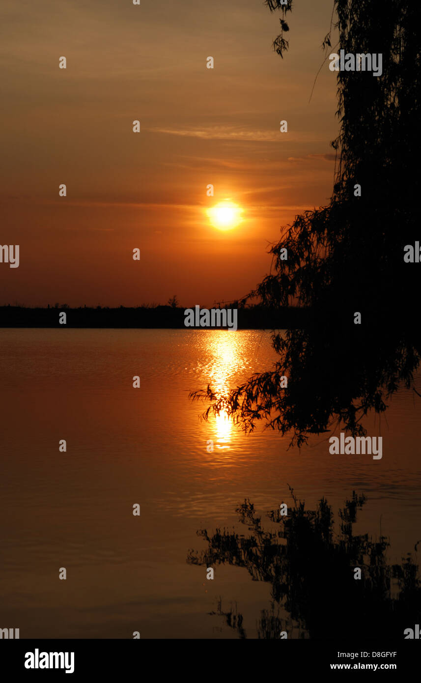 Gold sunset hi-res stock photography and images - Alamy