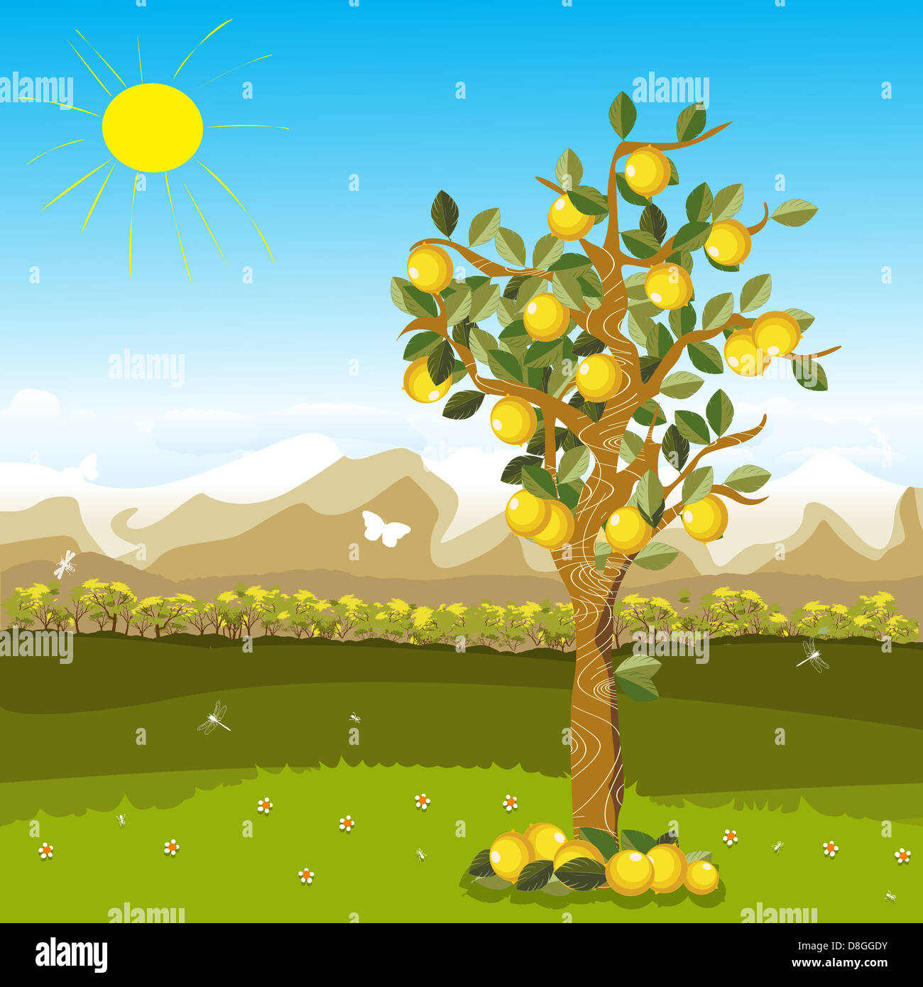 Lemon tree ant hi-res stock photography and images - Alamy