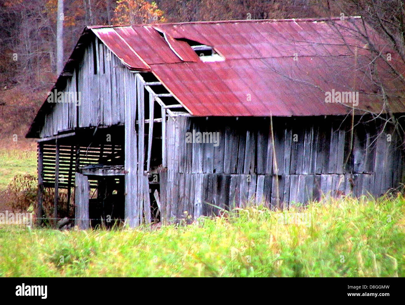 An abandoned horse barn stands in a rural landscape during autumn, with ...