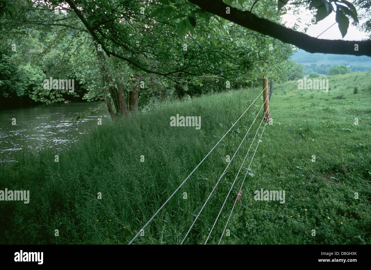A newly seeded and fenced riverbank, showing the beginning of a ...