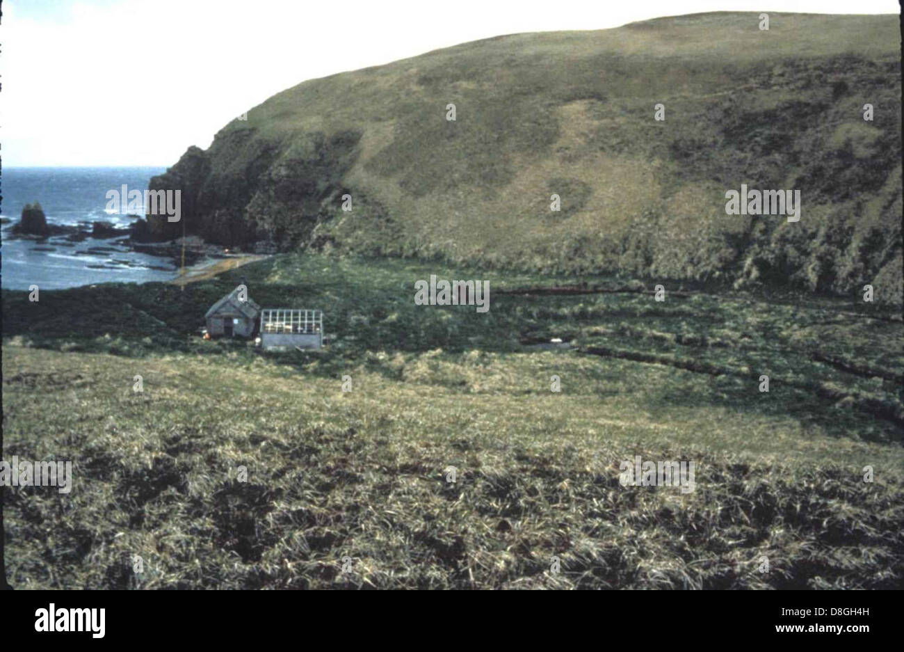 A view of cabins at Aga Cove on Agattu Island, part of the Aleutian ...