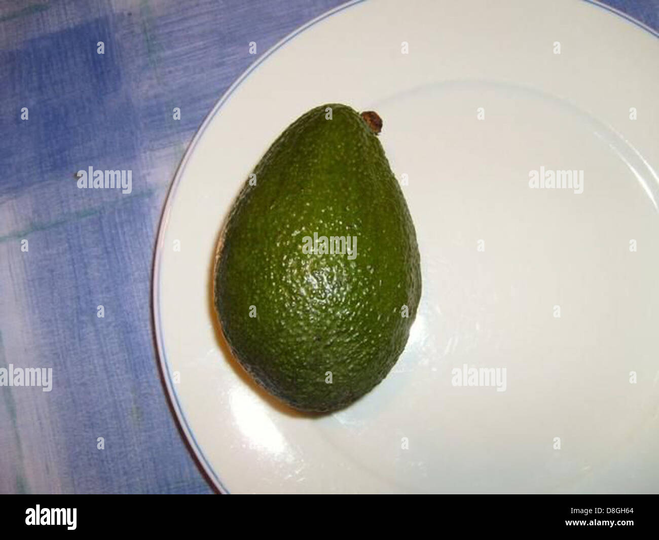 Aguacate or palta fruit Stock Photo - Alamy
