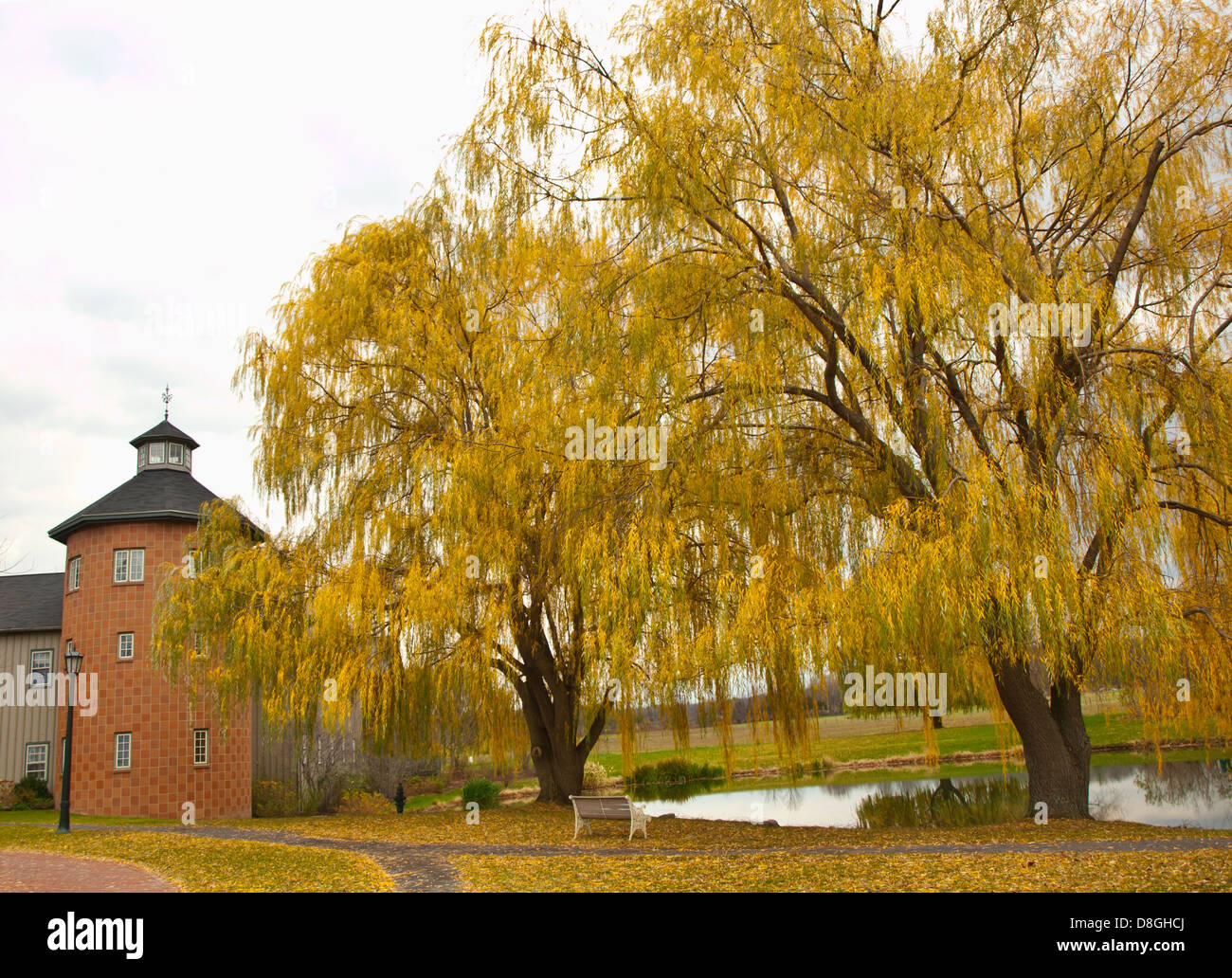 willow trees and building with turret Stock Photo - Alamy