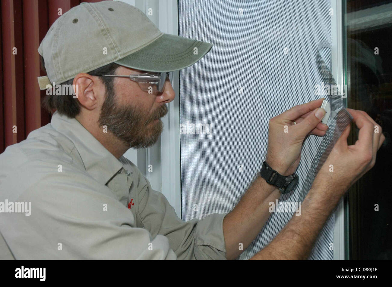 The process of applying an anti-bird strike film to a window, a ...