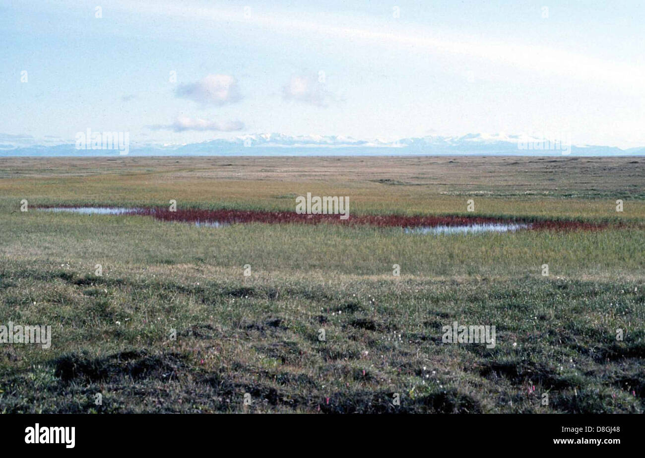 A vast expanse of the Arctic National Wildlife Refuge, with the Brooks ...