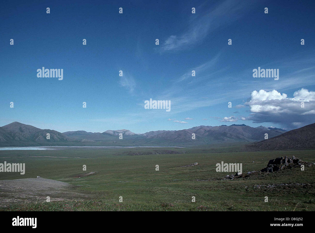 Arctic rivers and streams flow through cold, icy landscapes, feeding ...