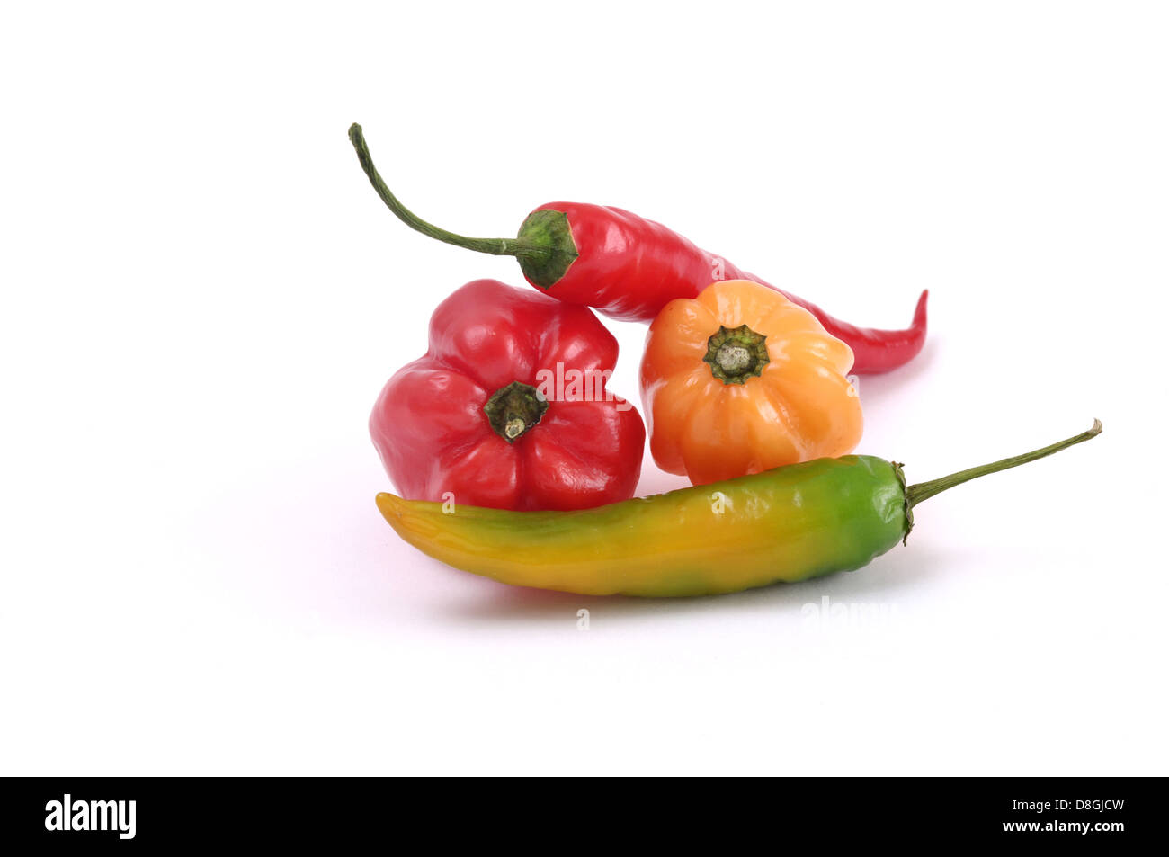 Habanero chilischote hi-res stock photography and images - Alamy