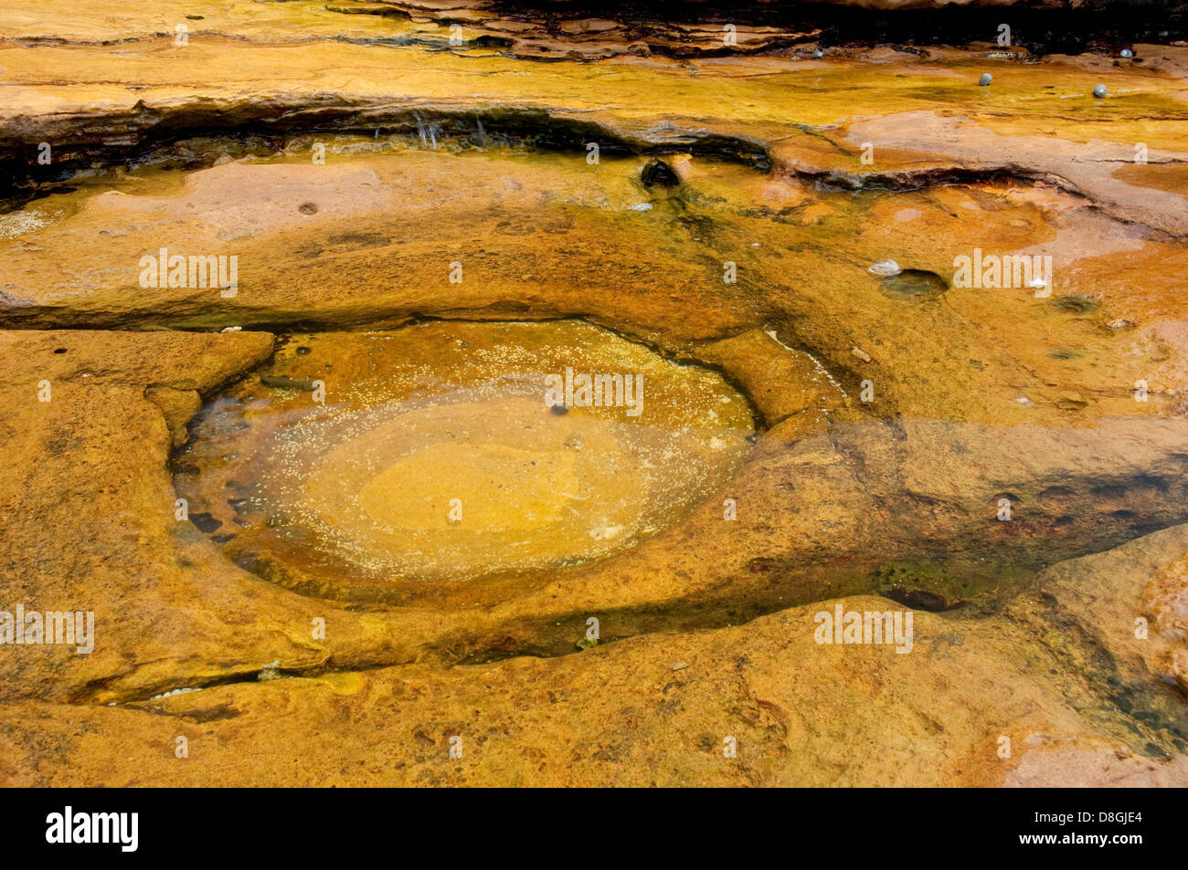 Natural water pool in rocks at Isla Pacheca Stock Photo - Alamy