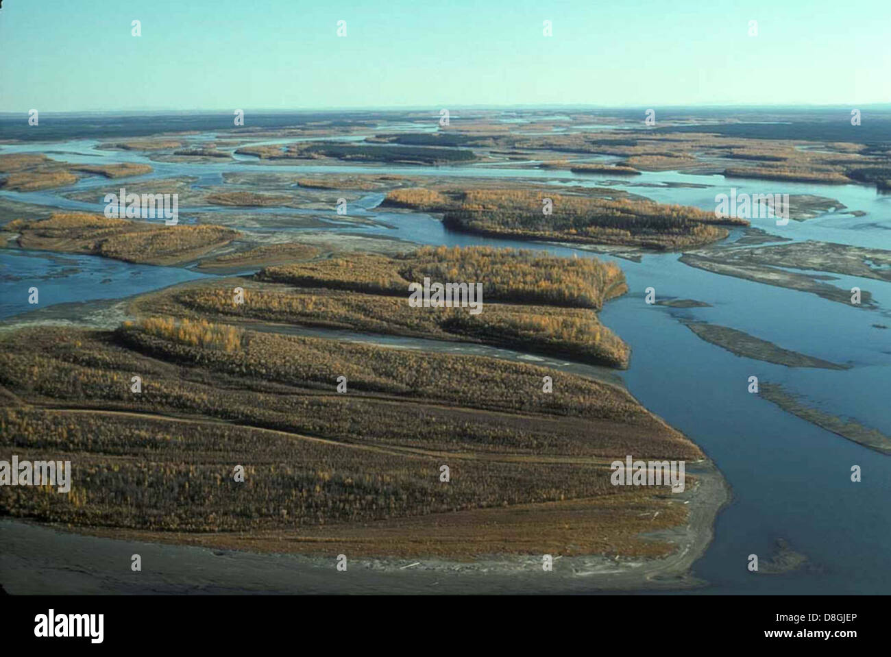Autumn landscape in swamp with trees in fall colors Stock Photo - Alamy