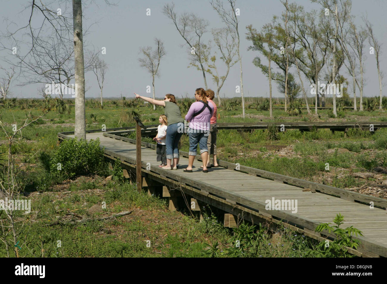 A family enjoys quality time together outdoors, engaging in ...
