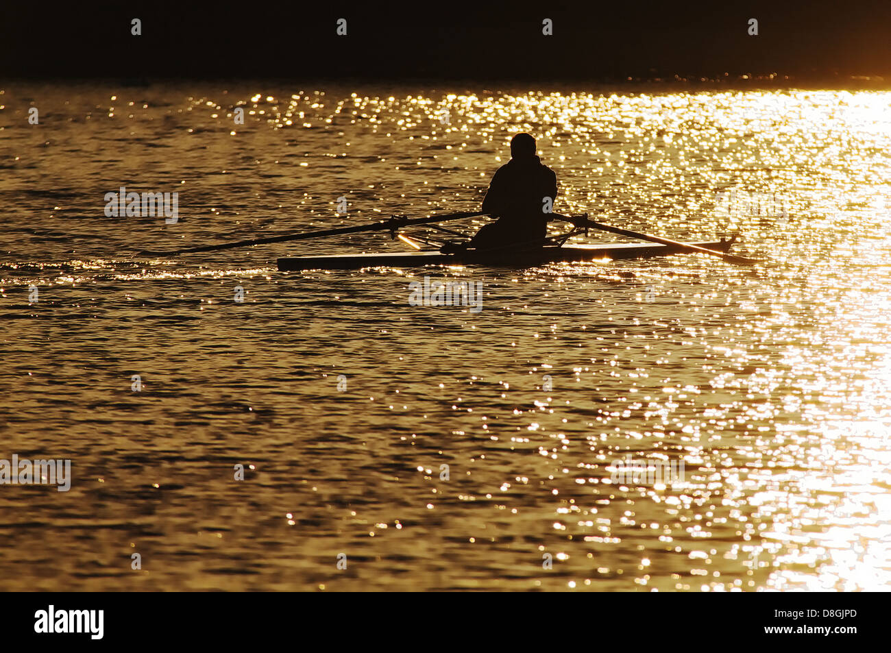 Rudern ruderboot ruderboot wassersport hi-res stock photography and ...