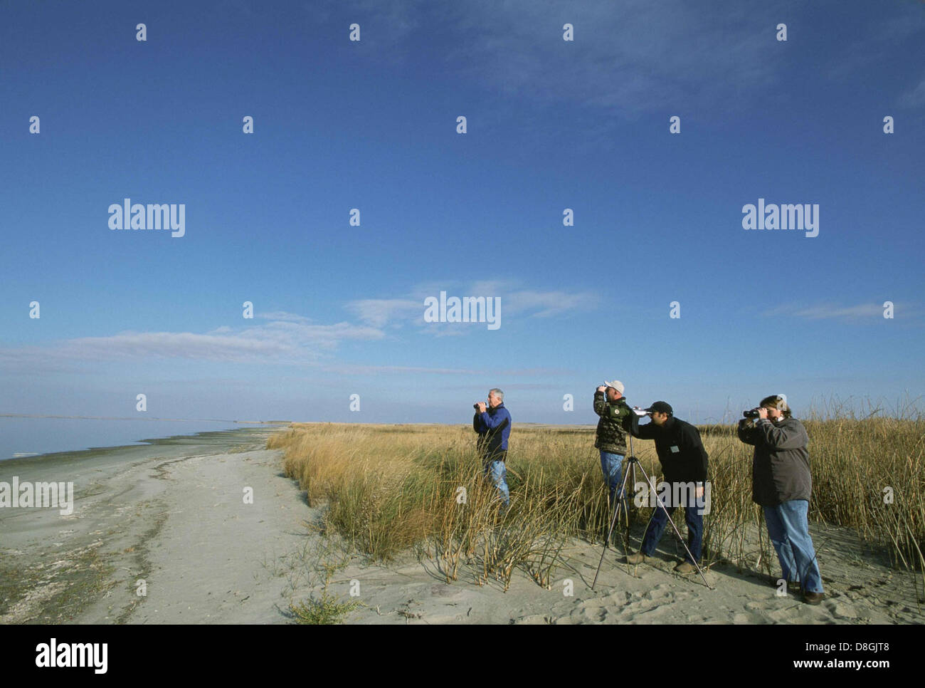 Four men are seen observing birds along a sandy shore. Equipped with ...