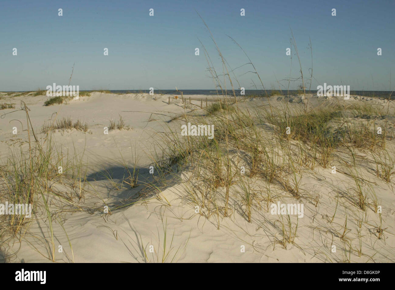 A peaceful natural beach setting featuring gentle waves, sandy shores ...