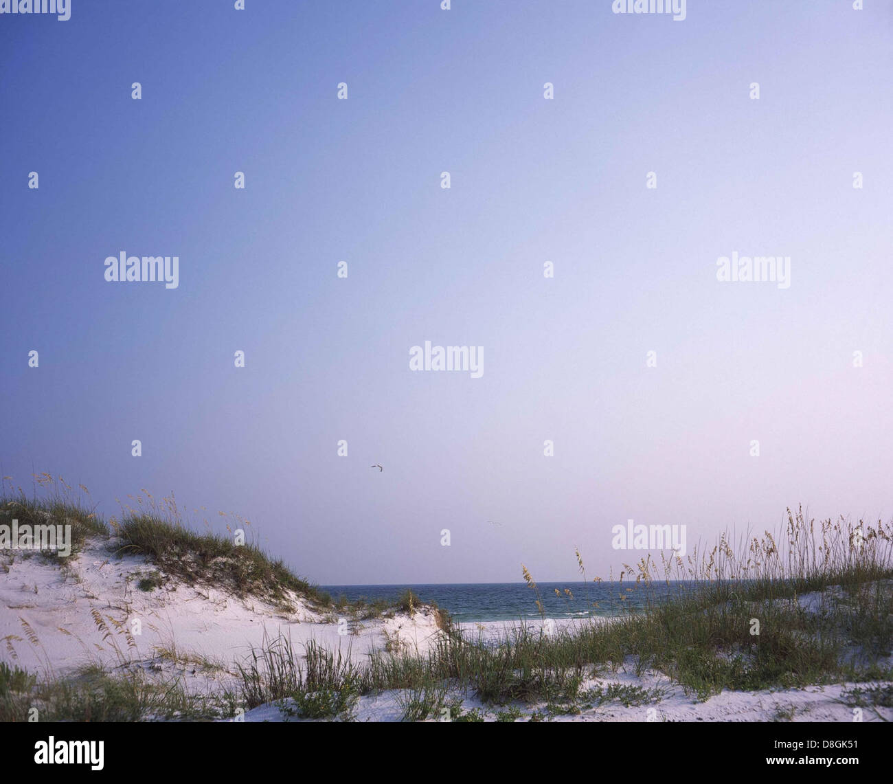A scenic view of the gulf shore Stock Photo - Alamy