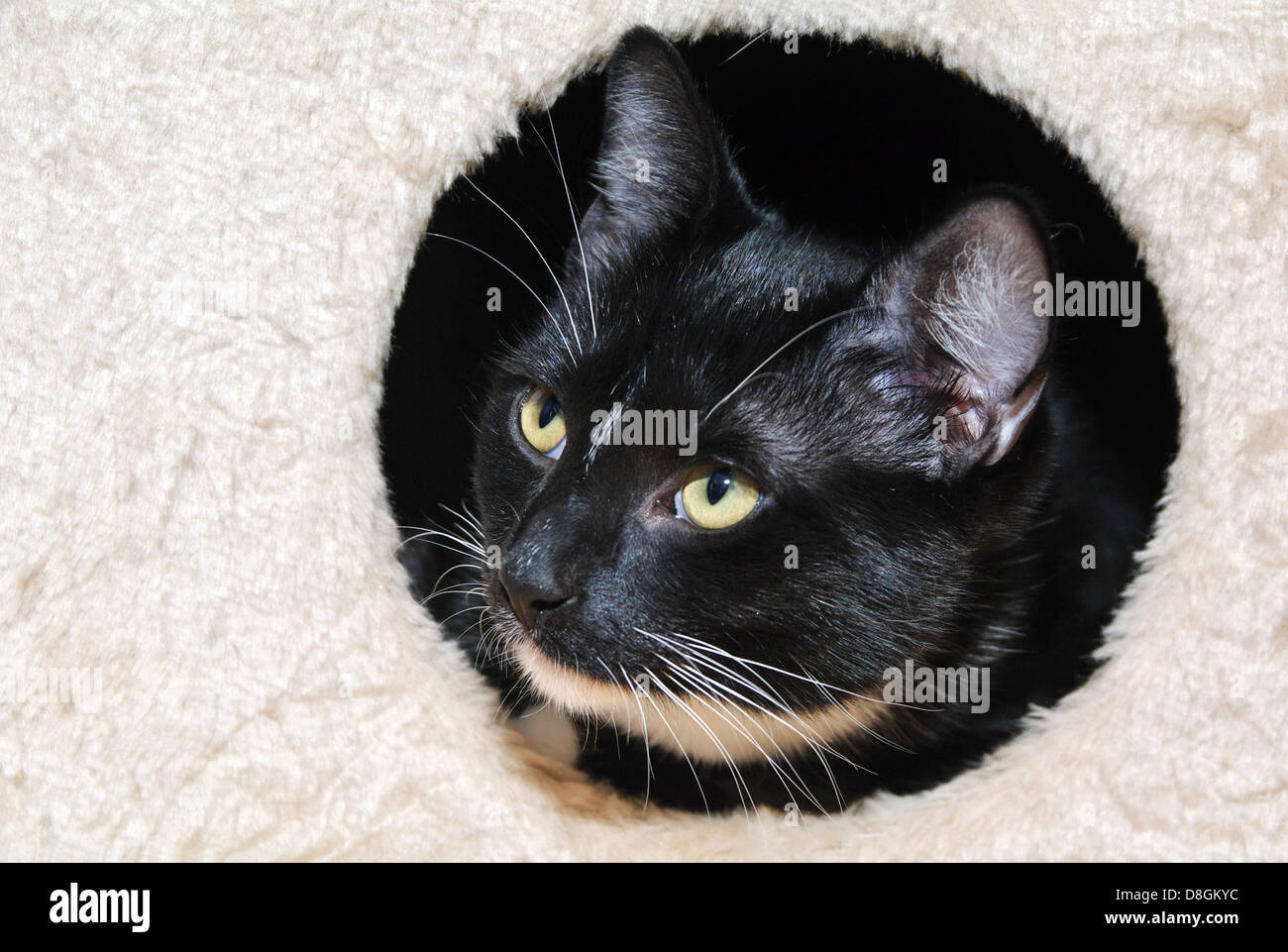 Tom cave hi-res stock photography and images - Alamy