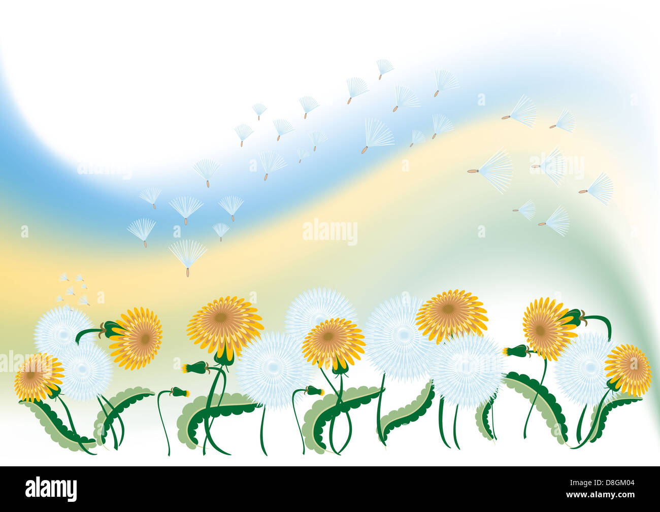 Abstract delicate background with dandelion Stock Photo - Alamy