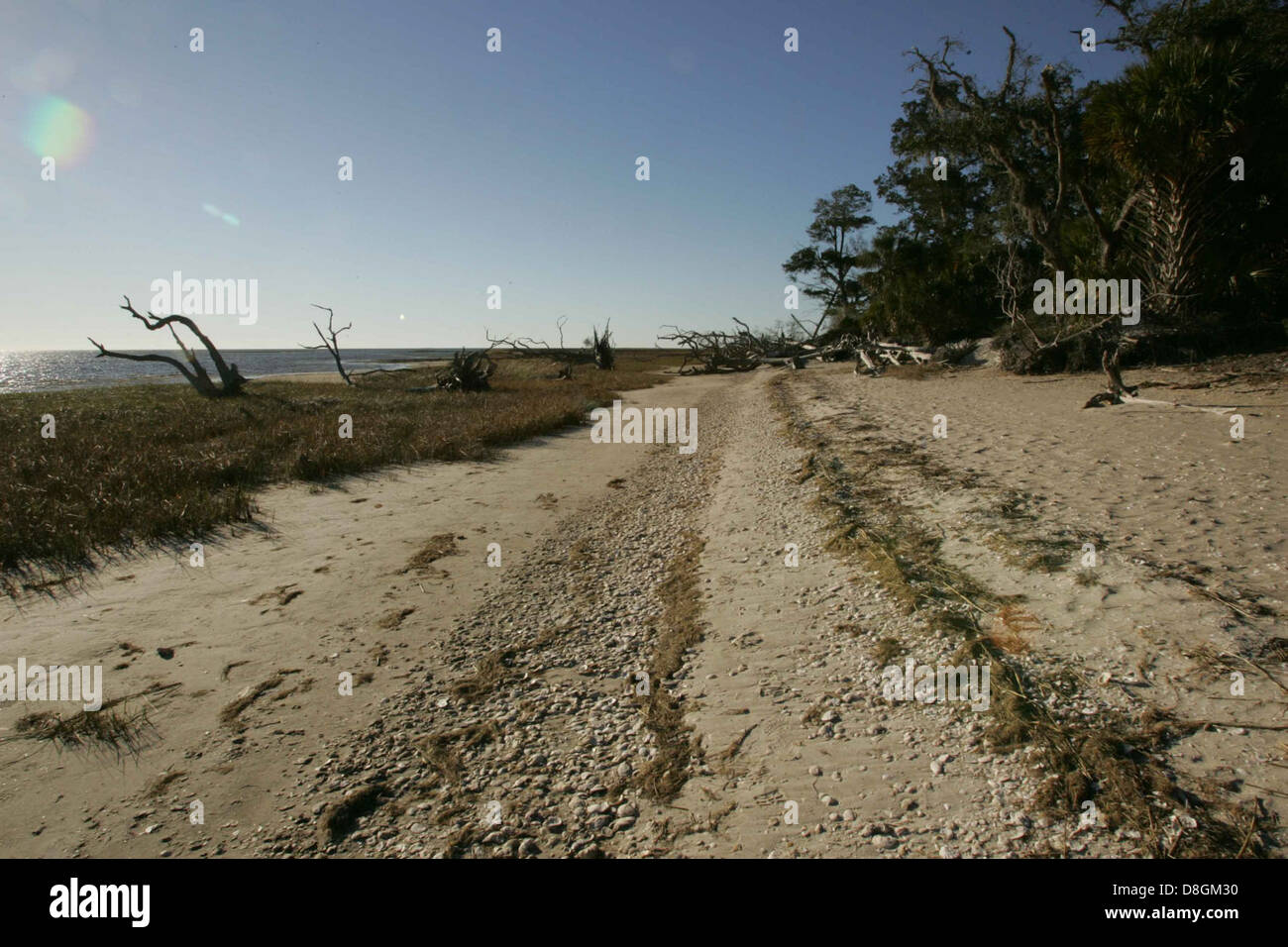 A serene beachfront scene with soft waves lapping against the shore ...