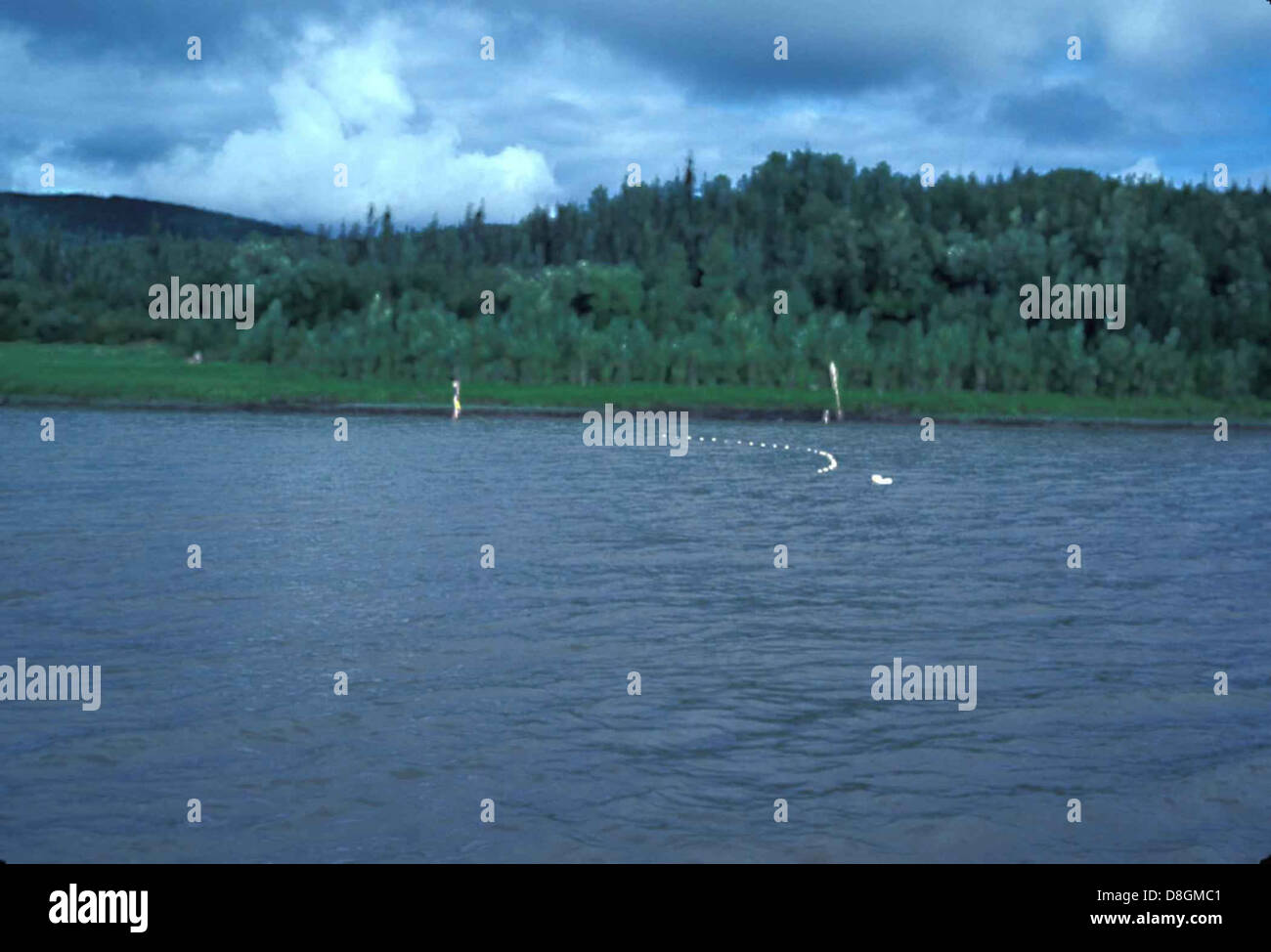 A beach seine net being used for subsistence fishing, an activity ...