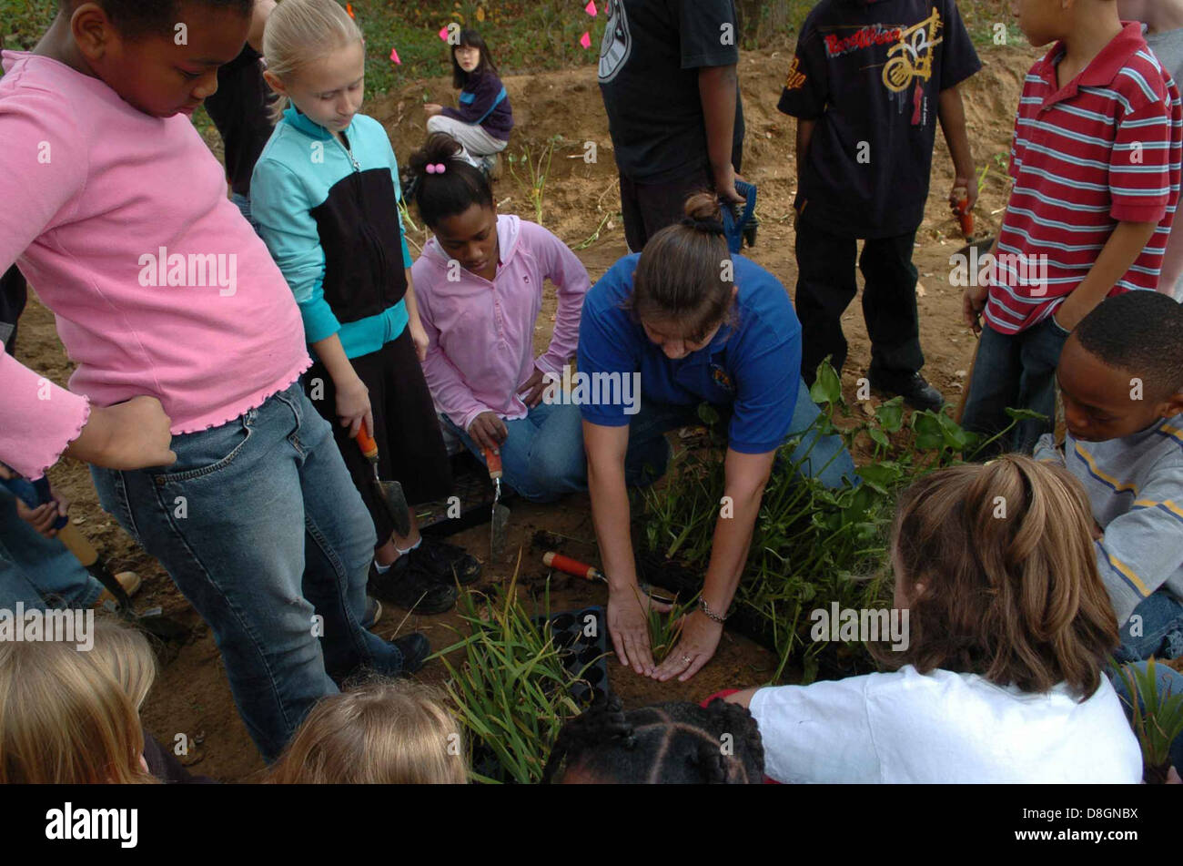 A biologist demonstrates the process of planting vegetation in wetland ...
