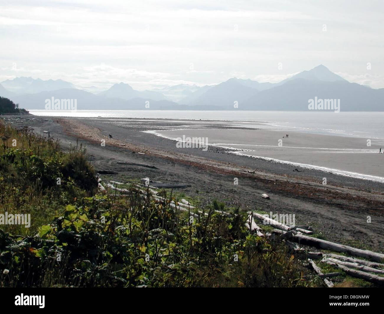 Bishops Beach at low tide, revealing exposed tidal flats and seaweed ...