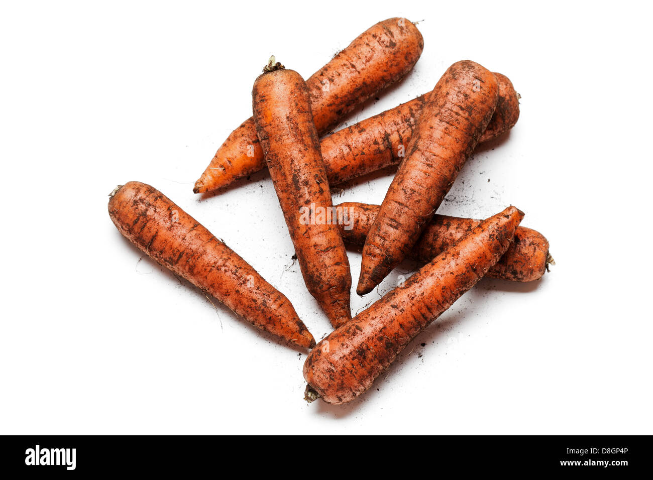 Large carrot isolated Cut Out Stock Images & Pictures - Alamy