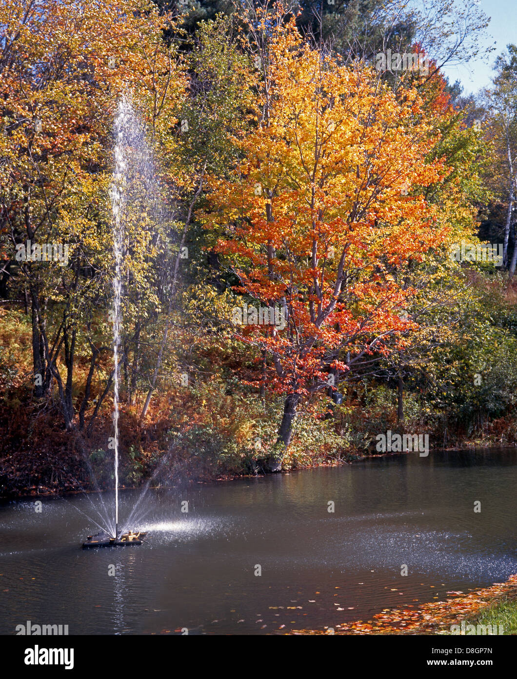 Autumn Trees & Fountain in pool, Stone, Vermont, USA Stock Photo - Alamy