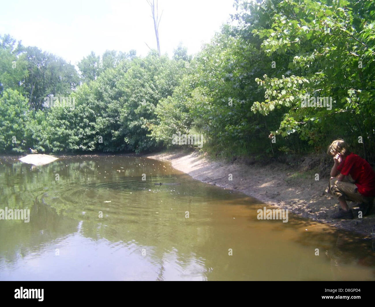 A boy tossing a stick into a pond, capturing a moment of outdoor play ...