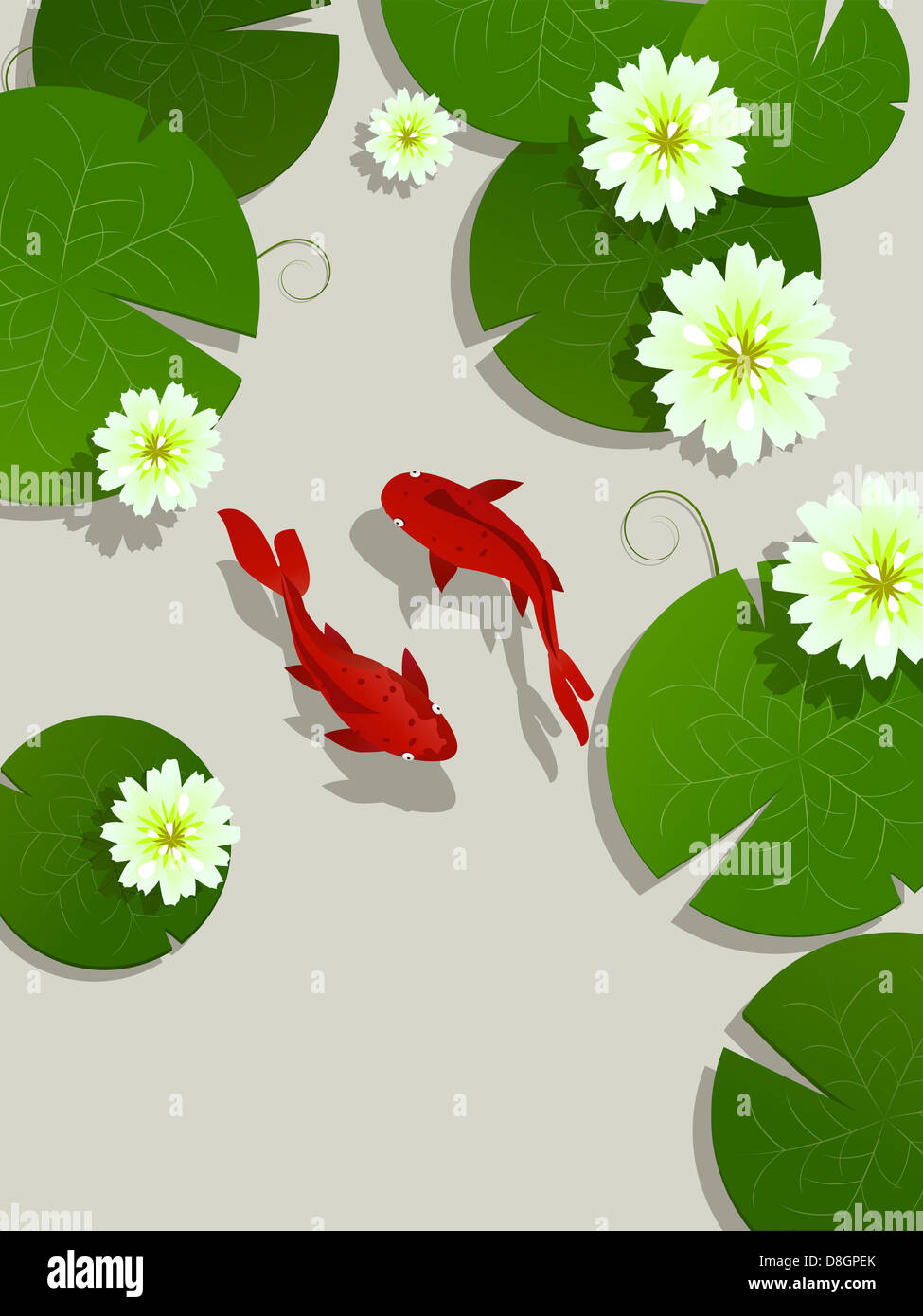 Koi fish card Stock Photo - Alamy