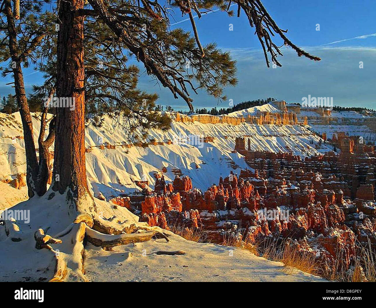 This image depicts a winter scene in Bryce Canyon, Utah, with snow ...