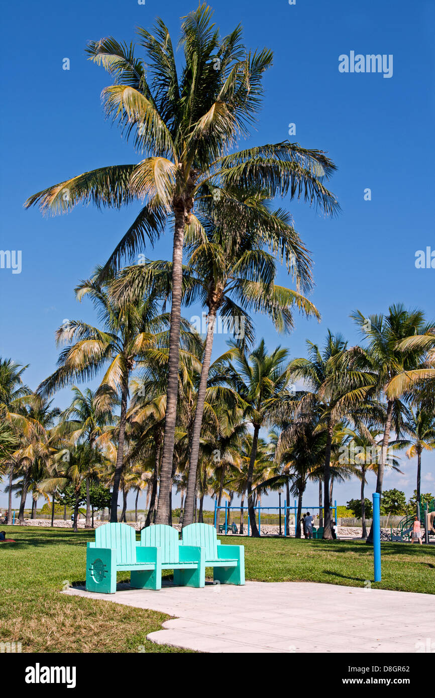 seats under palm trees Stock Photo - Alamy