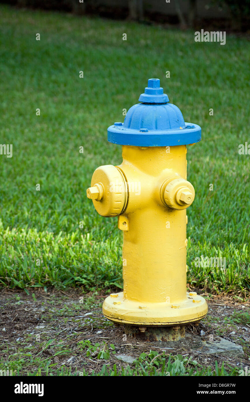 Blue fireplug hi-res stock photography and images - Alamy