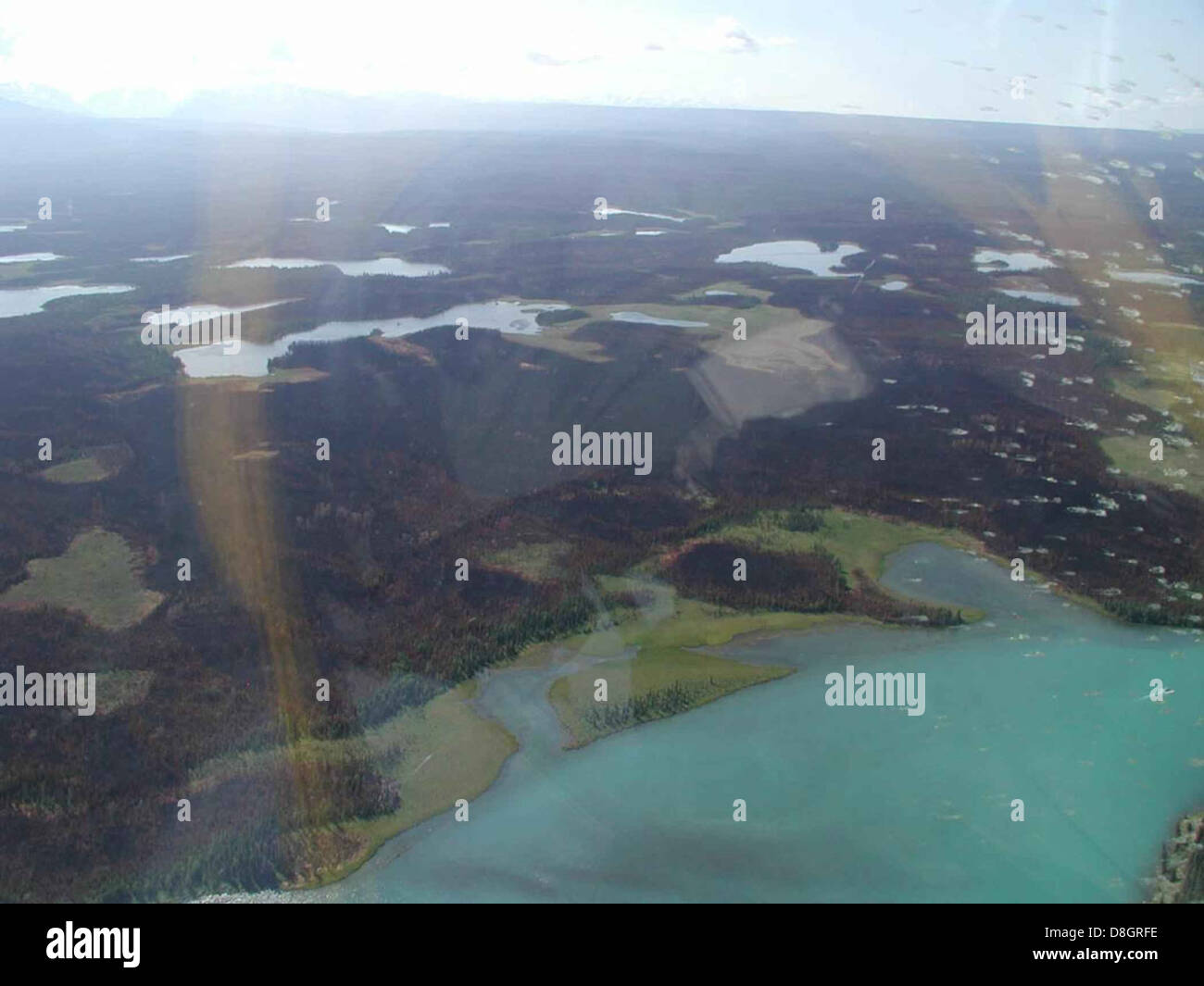 An aerial photo of a burned area near a lake, showing the scorched ...