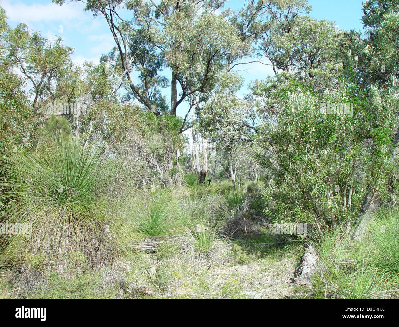 Protected flora and fauna natural conservation zone hi-res stock ...